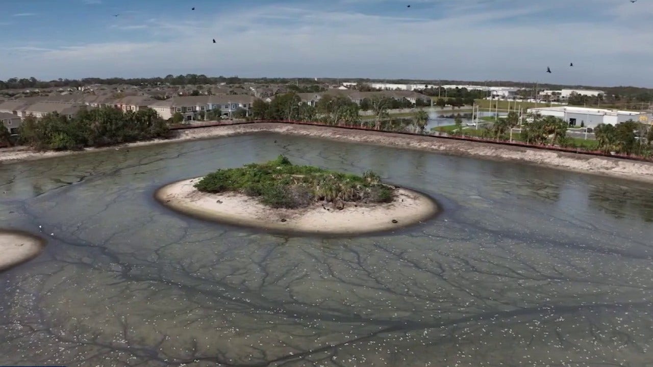 Hundreds of fish, turtles found dead in Sanford pond near construction ...