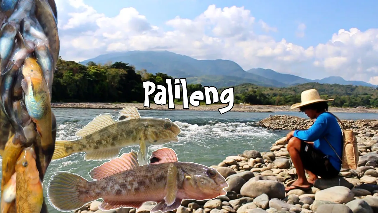 Catch and cook bunog fish | Foraging fresh food for my family