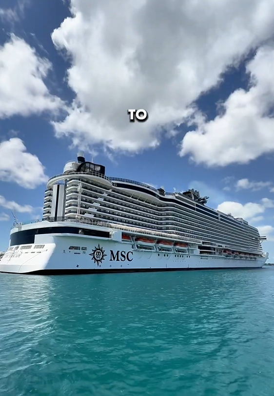 What happens if you jump off a cruise ship | Cruise safety explained