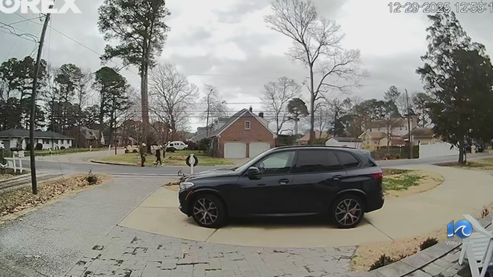 Video: Pit bull terrier attacks pomchi in Poquoson