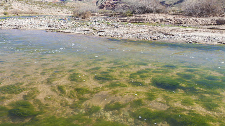 Arizona's vividly colored river gorge is like a mini Grand Canyon with ...
