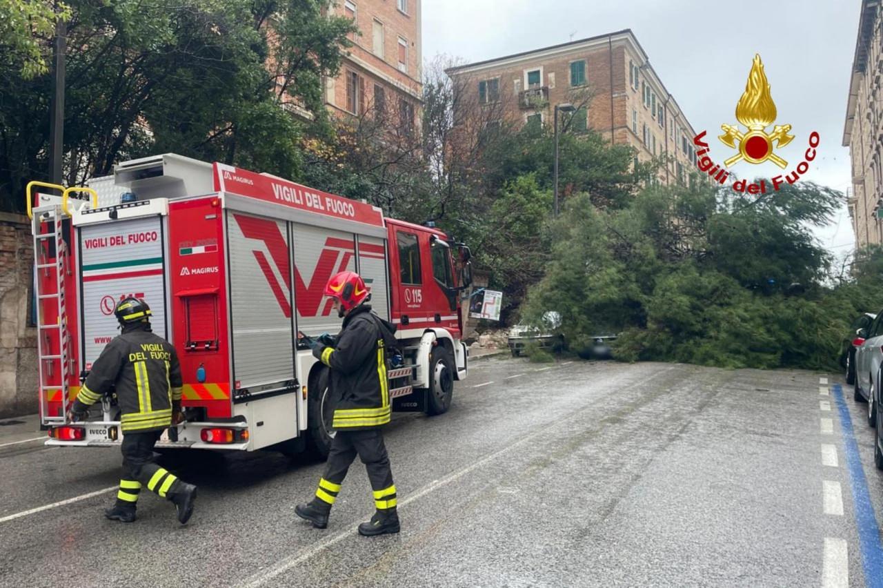 Finito nel Serio, cagnolino messo in salvo