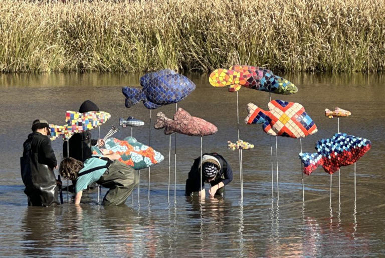'School of Fish' sculpture installed at Phinizy Center & Nature Park