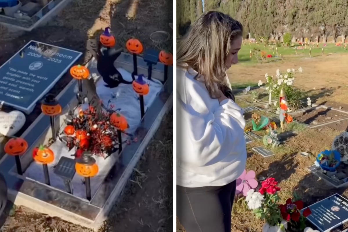 Mom mourns late cat at the grave – where her pet sends her a life ...