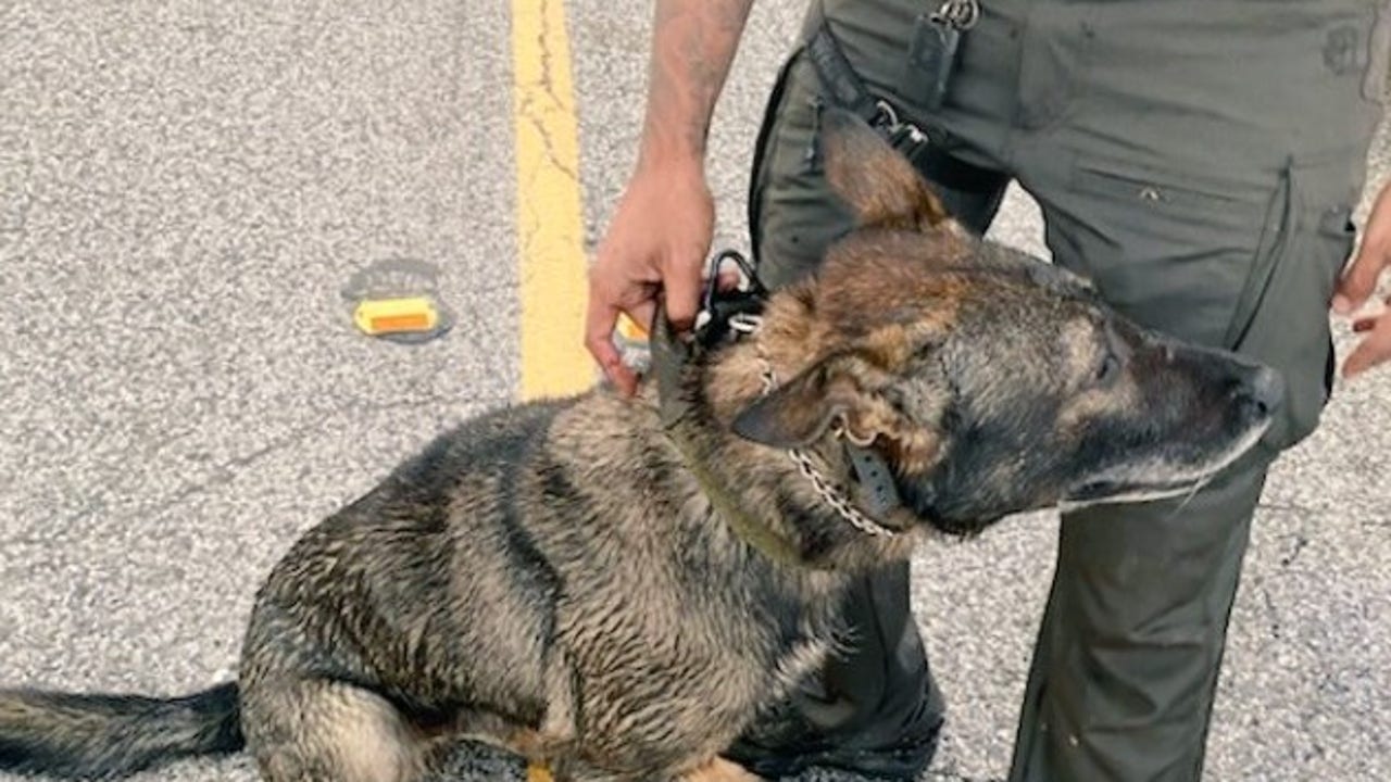 Harris County K-9 injured after suspect attempted to drown dog during ...