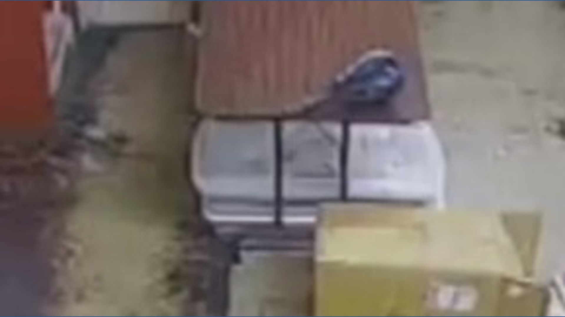 Monkey back home after breaking into a Morristown pawn shop