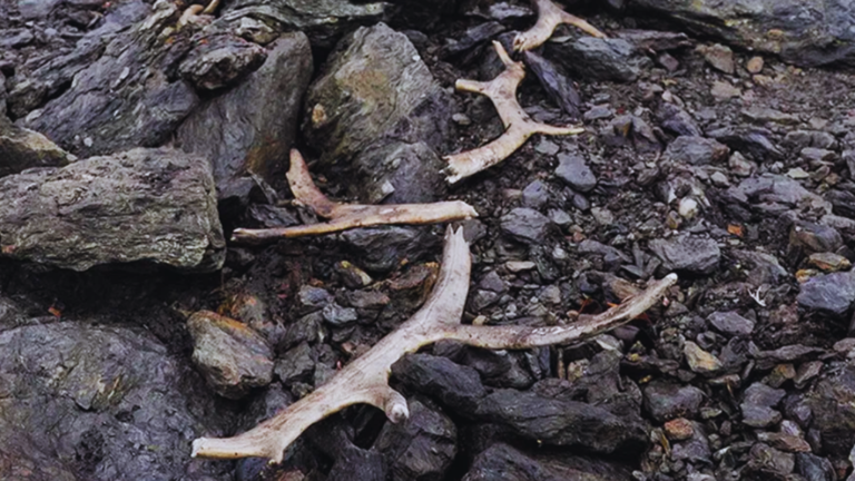 Melting ice reveals 1,500-year-old reindeer trap high in Norway’s mountains