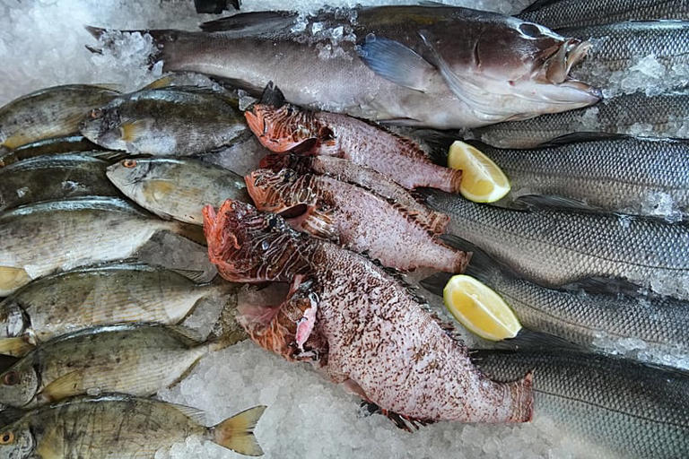 El pez león, una amenaza para el Mediterráneo y una solución culinaria ...
