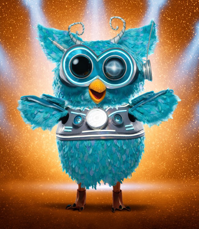 Owl