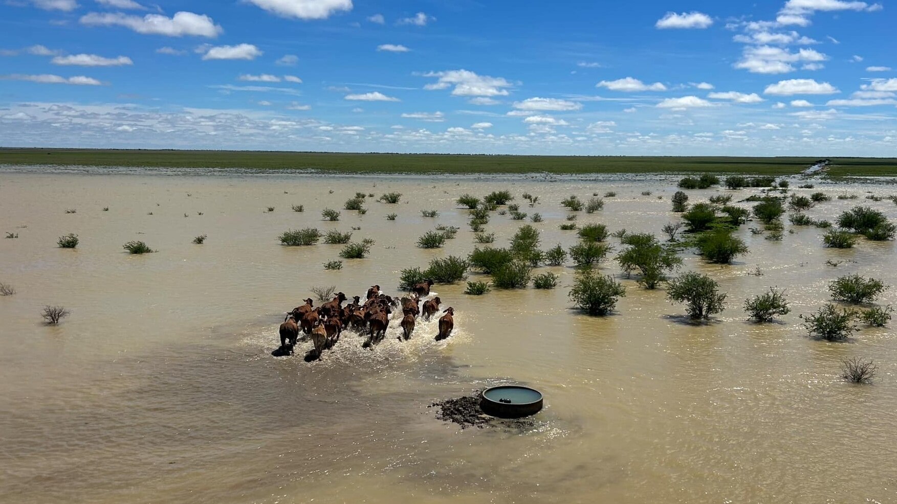Prime minister announces $38 million for flood-affected communities ...