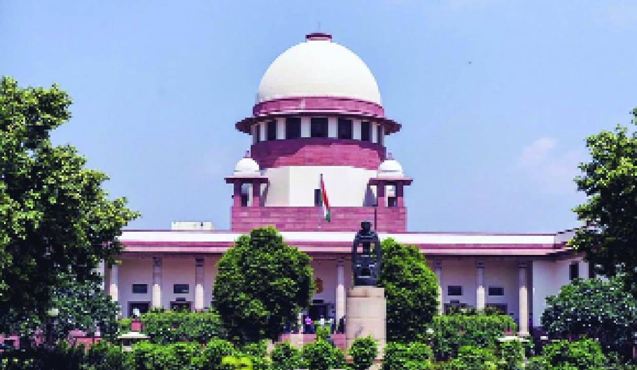 SC to consider DDA plea for further tree felling in Delhi Ridge only ...