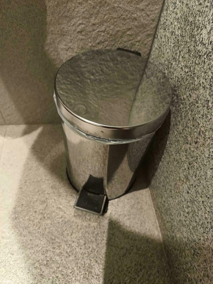 “Women are cats in disguise”: 64 men share what they learned about ...