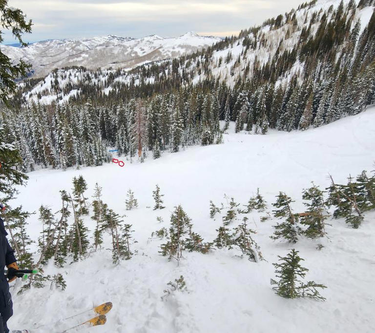 Skier was buried face down after avalanche near Brighton, new report says