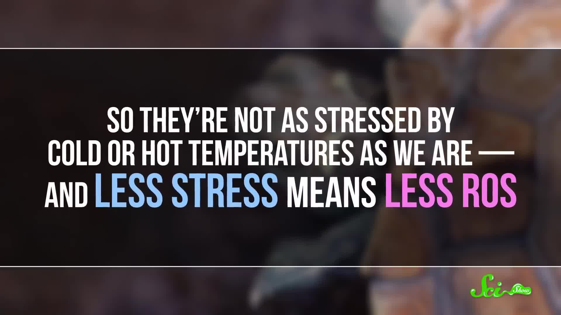 How do turtles live so long?