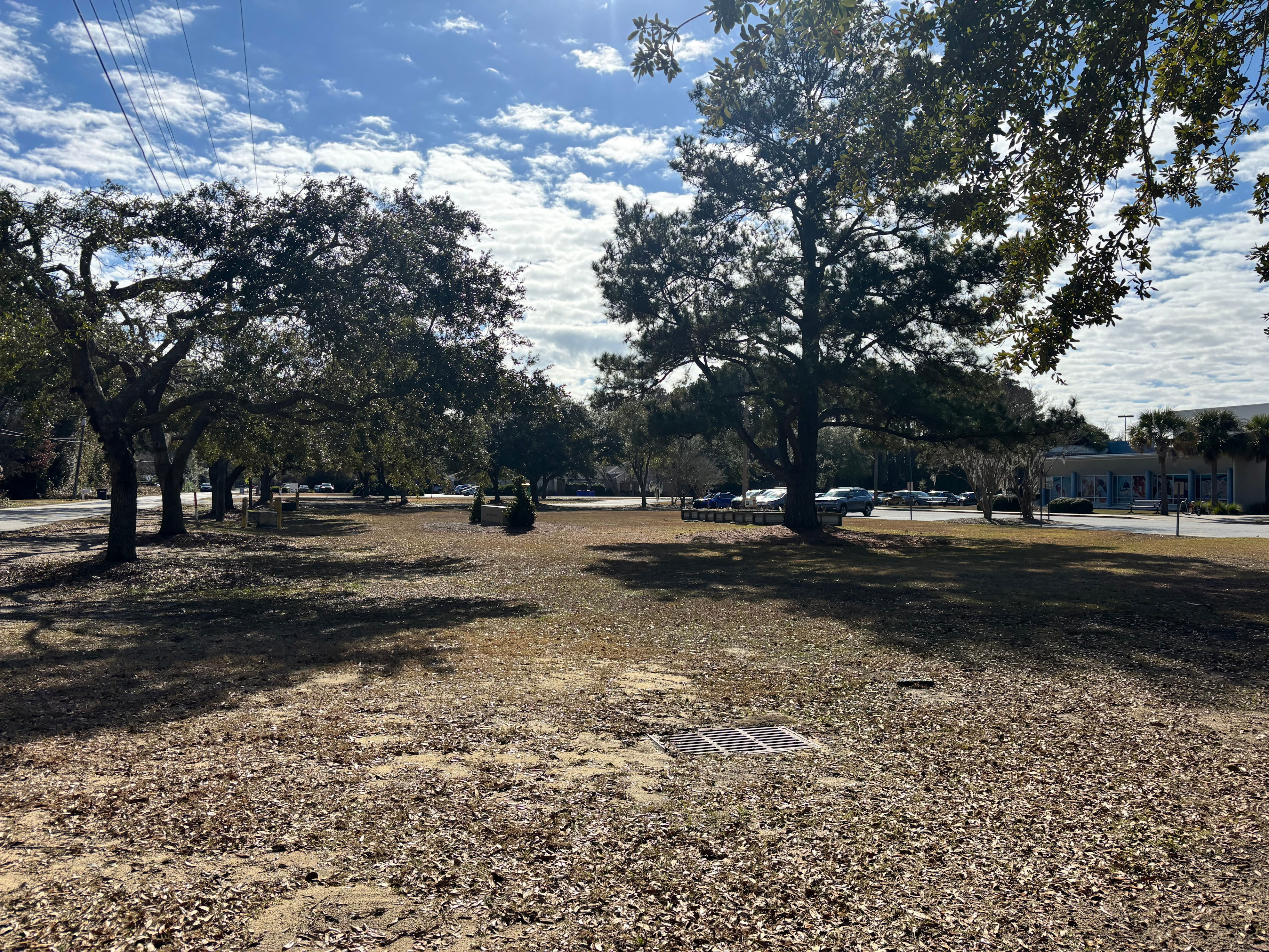 New food forest, community garden could be in Mount Pleasant’s future
