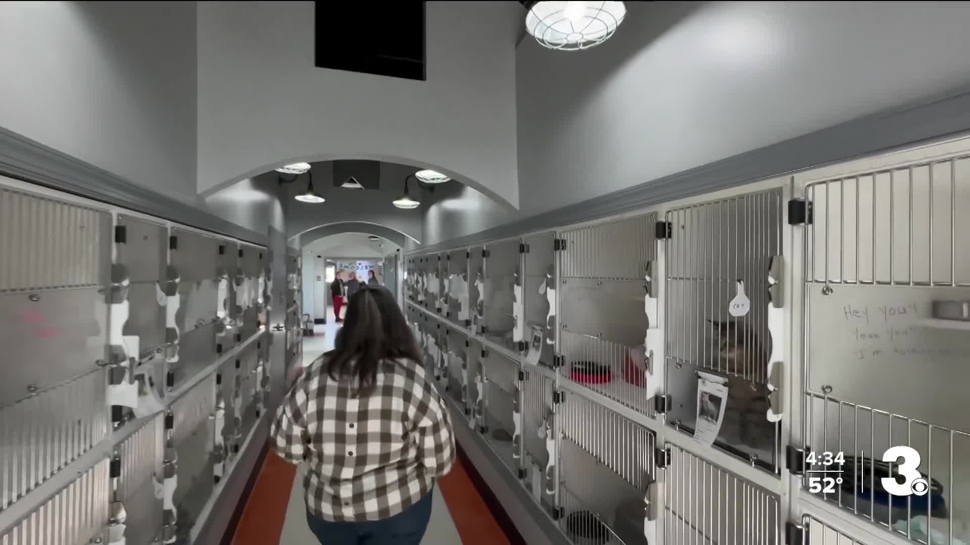 New beginning for furry friends in Pasquotank County