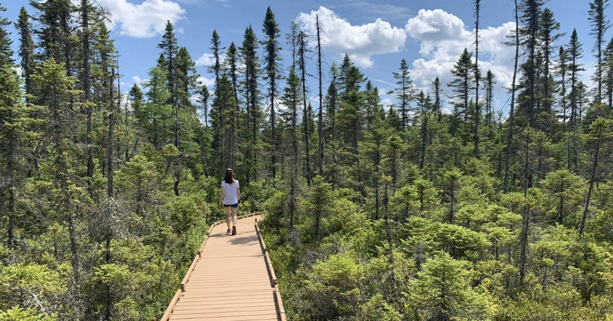 This little-known path might be the best boardwalk trail in Maine