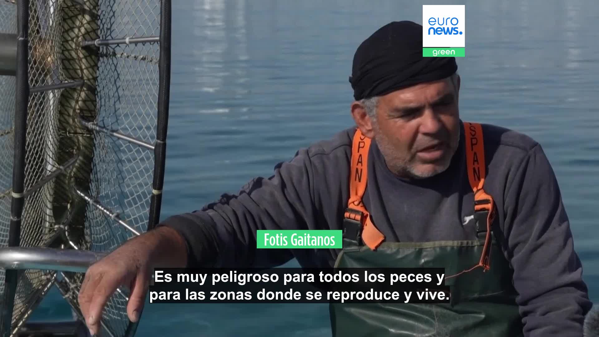 El pez león, una amenaza para el Mediterráneo y una solución culinaria ...