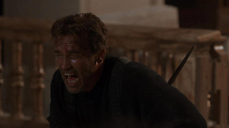Arnold Schwarzenegger nearly starred in a wrestling body horror movie ...