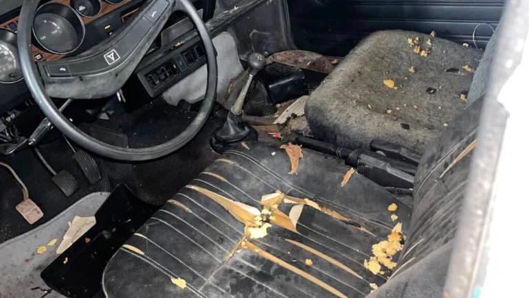 Pair of 1978 Dodge Colts offered together as rare project cars in Wisconsin