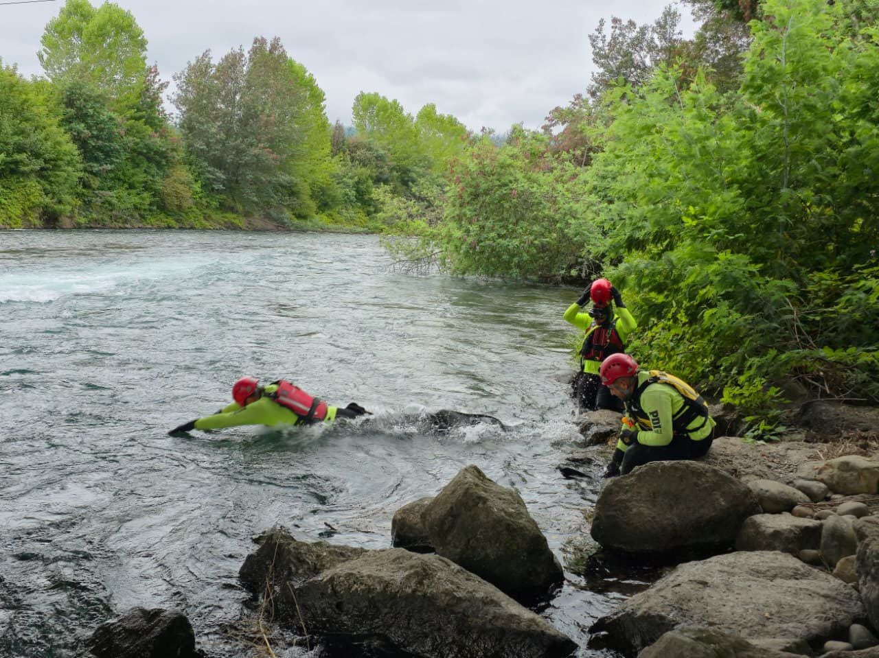 Búsqueda de joven desaparecido en Panguipulli: refuerzan rastreos en ...