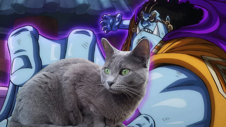 All 10 of One Piece's Straw Hats and what cat breed they would be