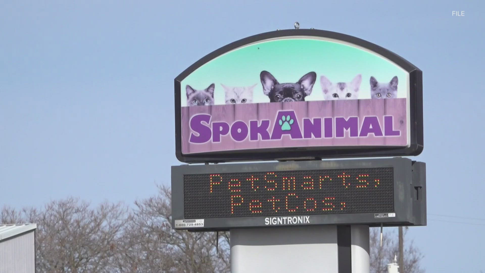 SpokAnimal euthanizes one dog with illness