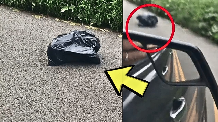 Woman stops after noticing a moving trash bag, making a life-saving ...