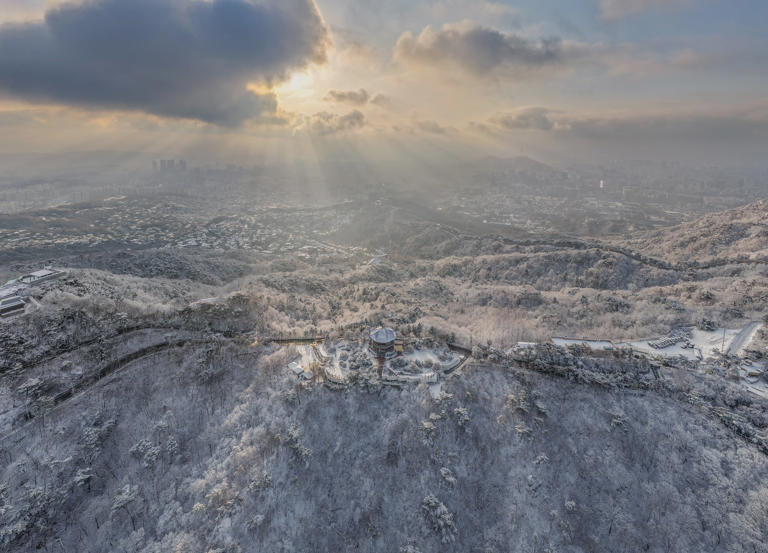 2025's spring, summer, autumn, winter: Turmoil and quiet reflection