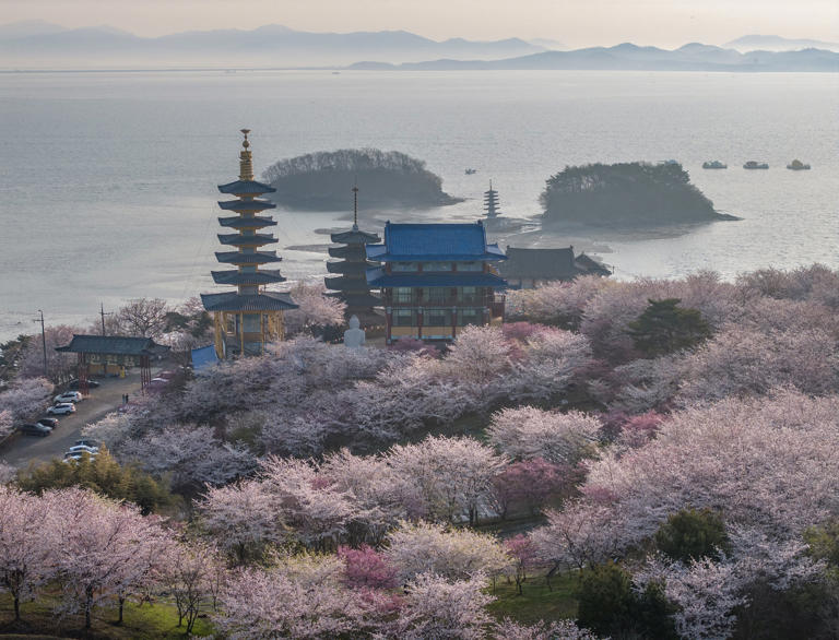 2025's spring, summer, autumn, winter: Turmoil and quiet reflection