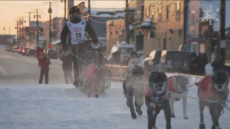 Mushers seek alternatives after Idaho Sled Dog Challenge cancels races ...
