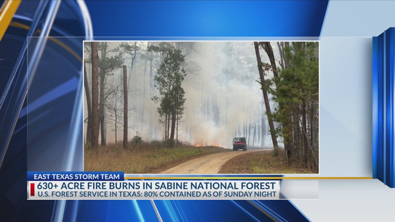 Firefighters responding to 674-acre wildfire in Sabine National Forest