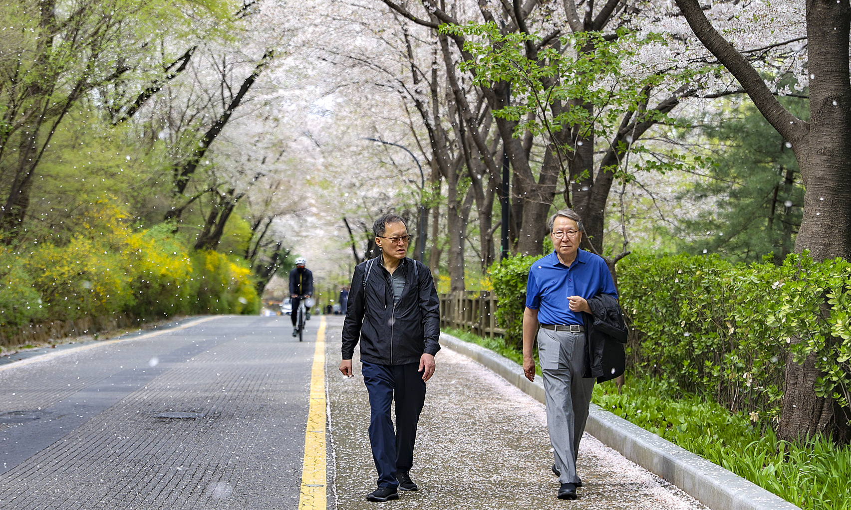 More than one in five South Koreans are now 65 or older