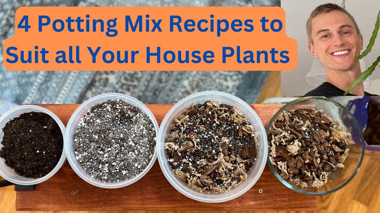 4 house plant potting mix recipes - common plants, succulents, tropical ...
