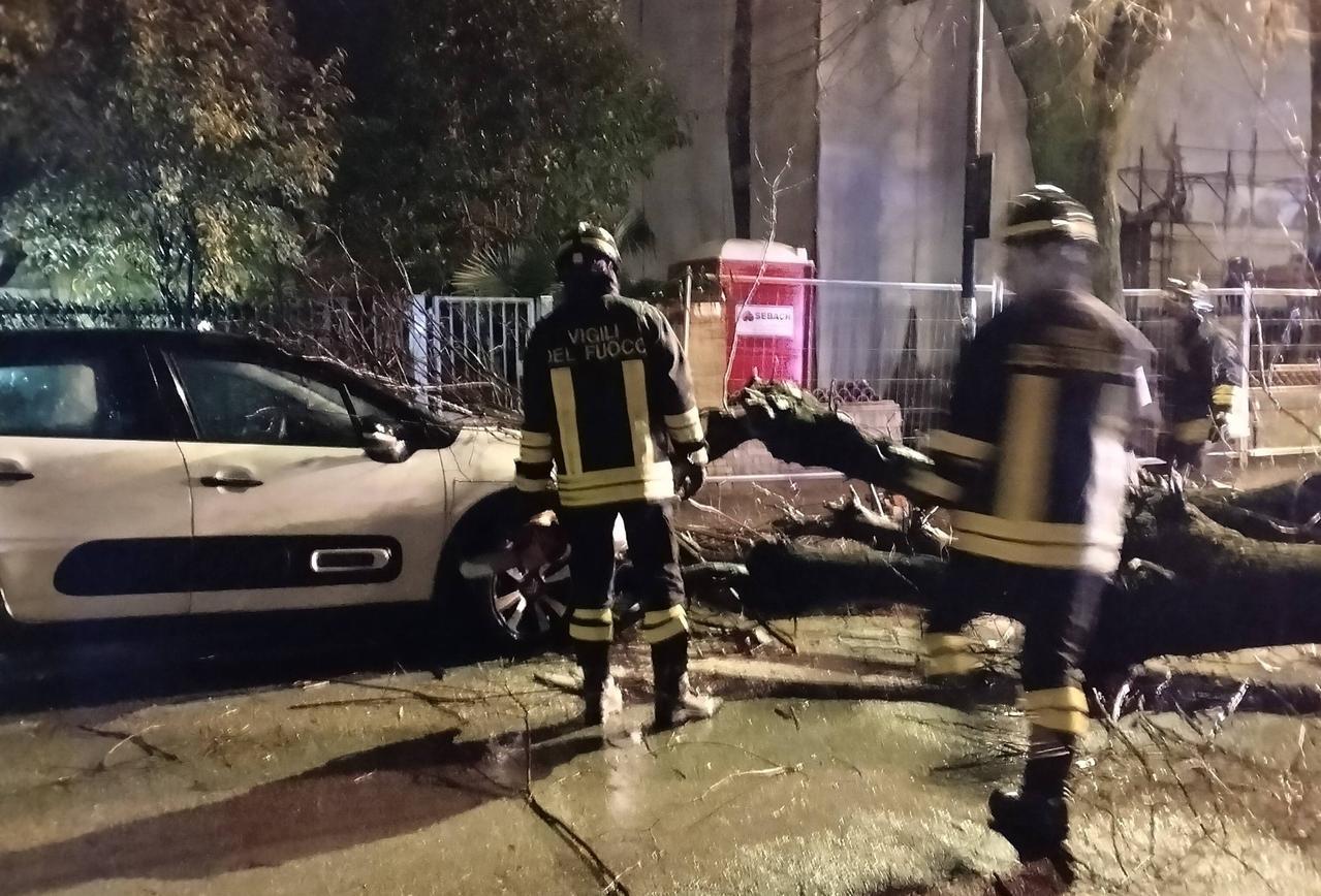 Albero si schianta sopra a un’auto