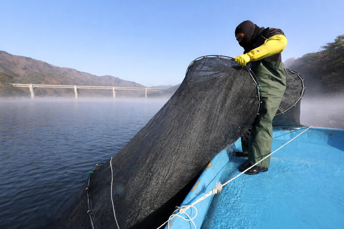 Fishing smelt on S Korean lake
