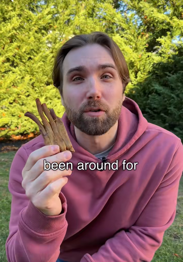 What makes Korean red ginseng different