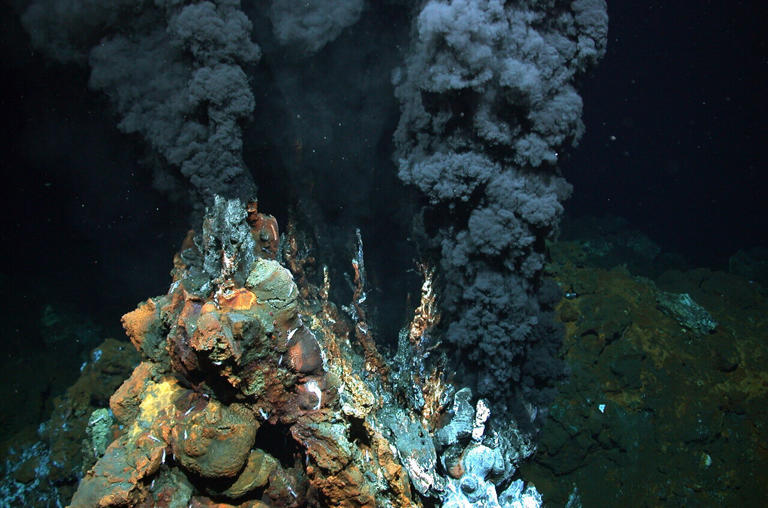 The (metabolic) 'cost of life': New method quantifies hidden energy ...