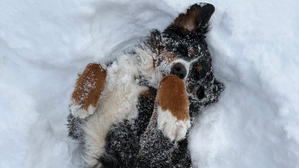 Widespread rain Tuesday in CNY, big warmup this week and lots of snowmelt