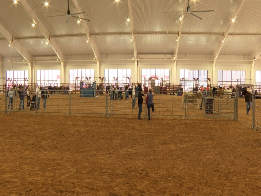 Randall County host 78th annual Junior Livestock Show