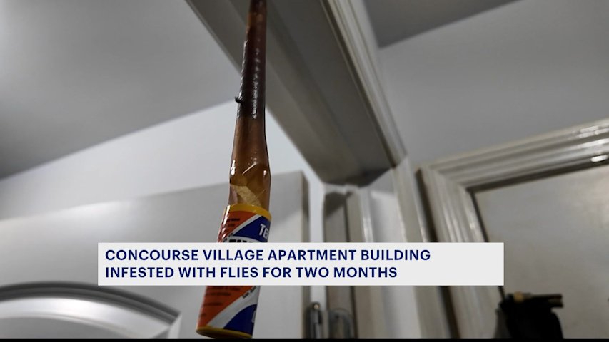 Fly infestation causes concern for residents in Concourse Village apartment