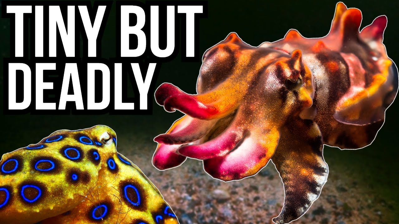 How tiny creatures create serious problems