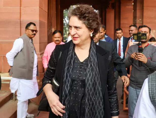 Who is Aviva Baig, Delhi woman to marry Priyanka Gandhi's son Raihan Vadra