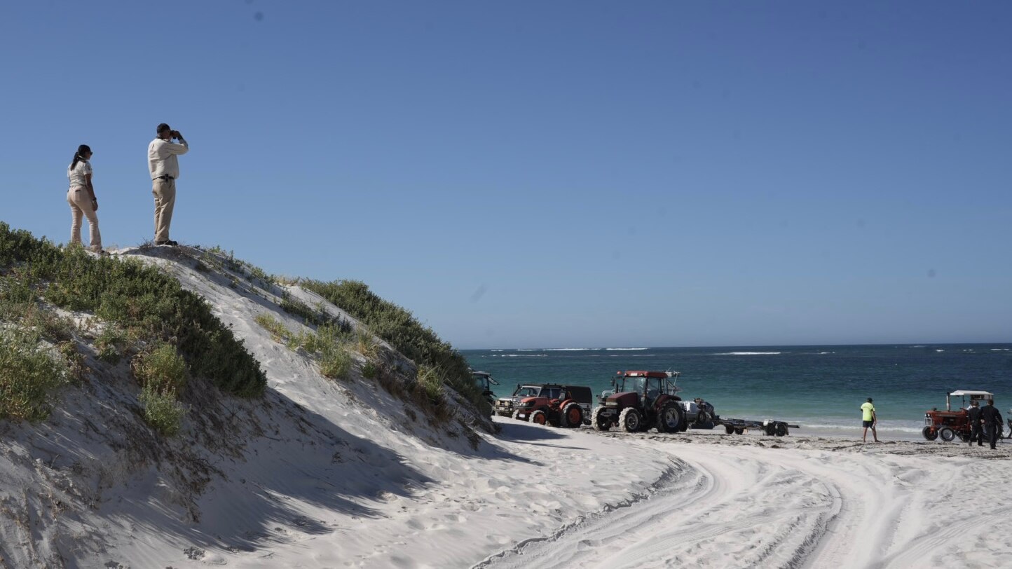 Human remains found in search for snorkeller missing off WA's Ledge Point