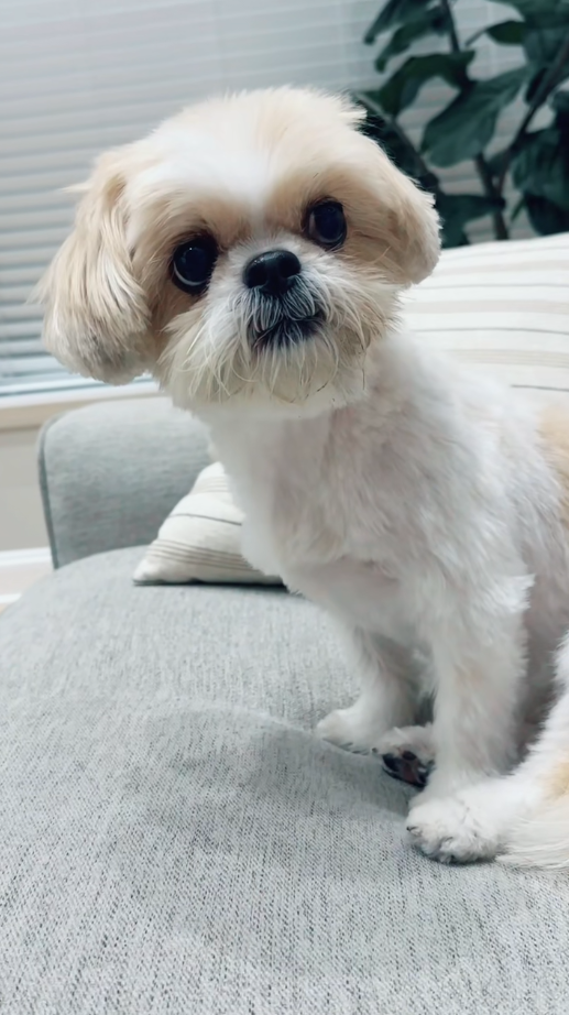 The look she gave me says everything