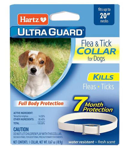 Why your dog keeps biting their tail