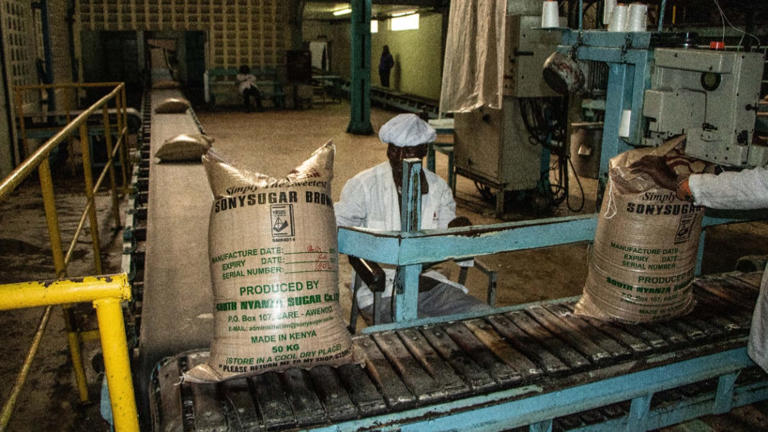 Kenya bets on competitive market as duty-free sugar imports return ...