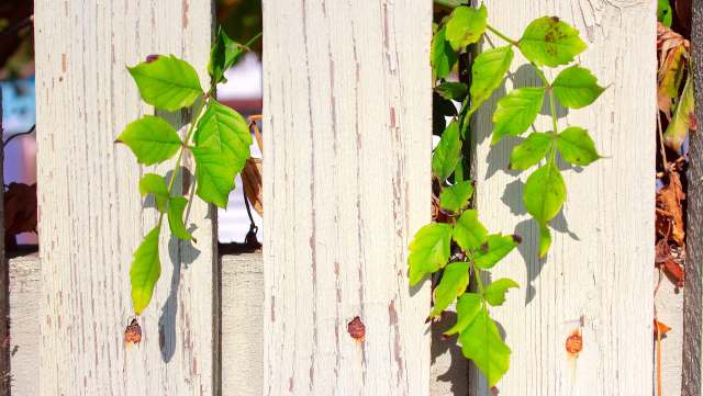 Homeowner outraged after discovering neighbor's shocking act: 'Call the ...