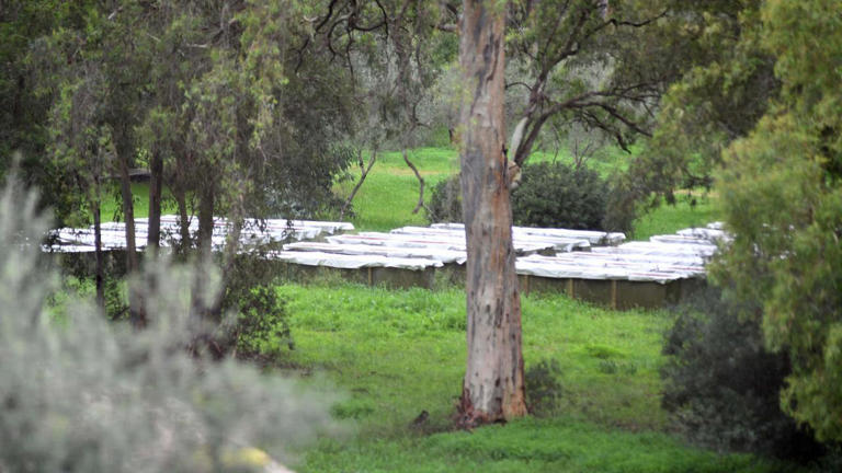 Olbia, le navi romane nell’ex artiglieria: le casse sono ancora all’aperto