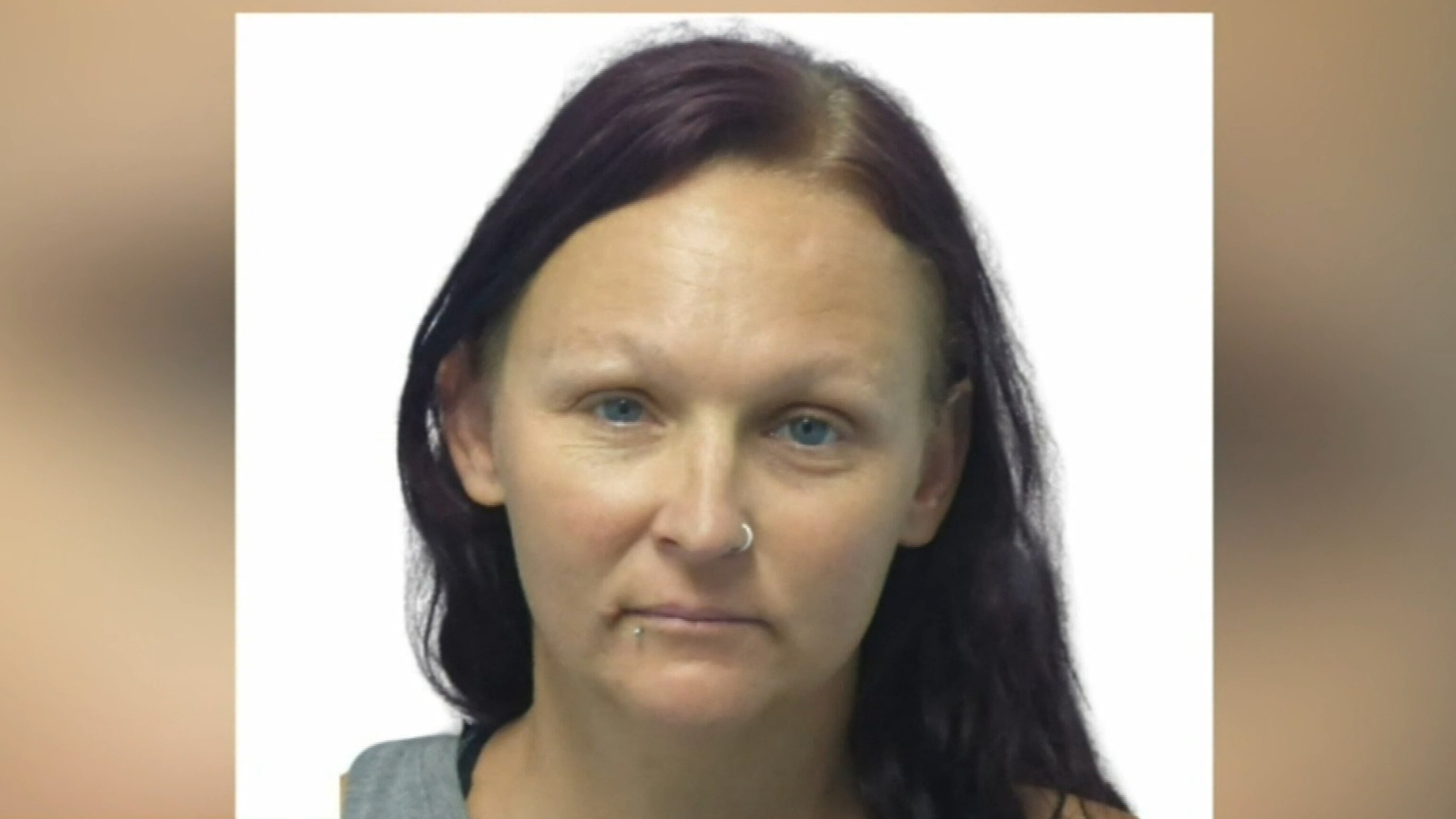 Police declare 'major crime' after suspicious disappearance of mother